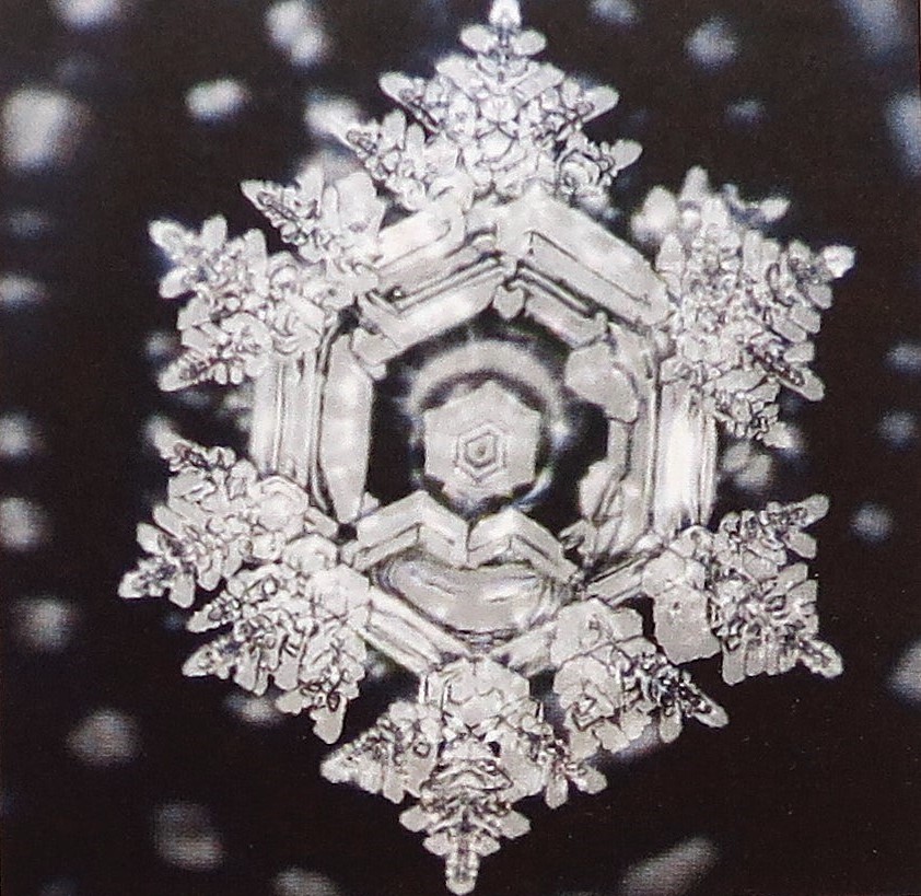 52. (Eng.) Water as a Life Elixir II : Masaru Emoto – LICHT WERK(T ...